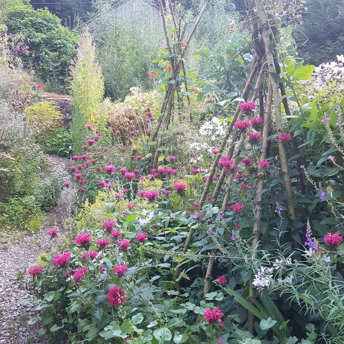 Workshops 2024 | Nant y Bedd