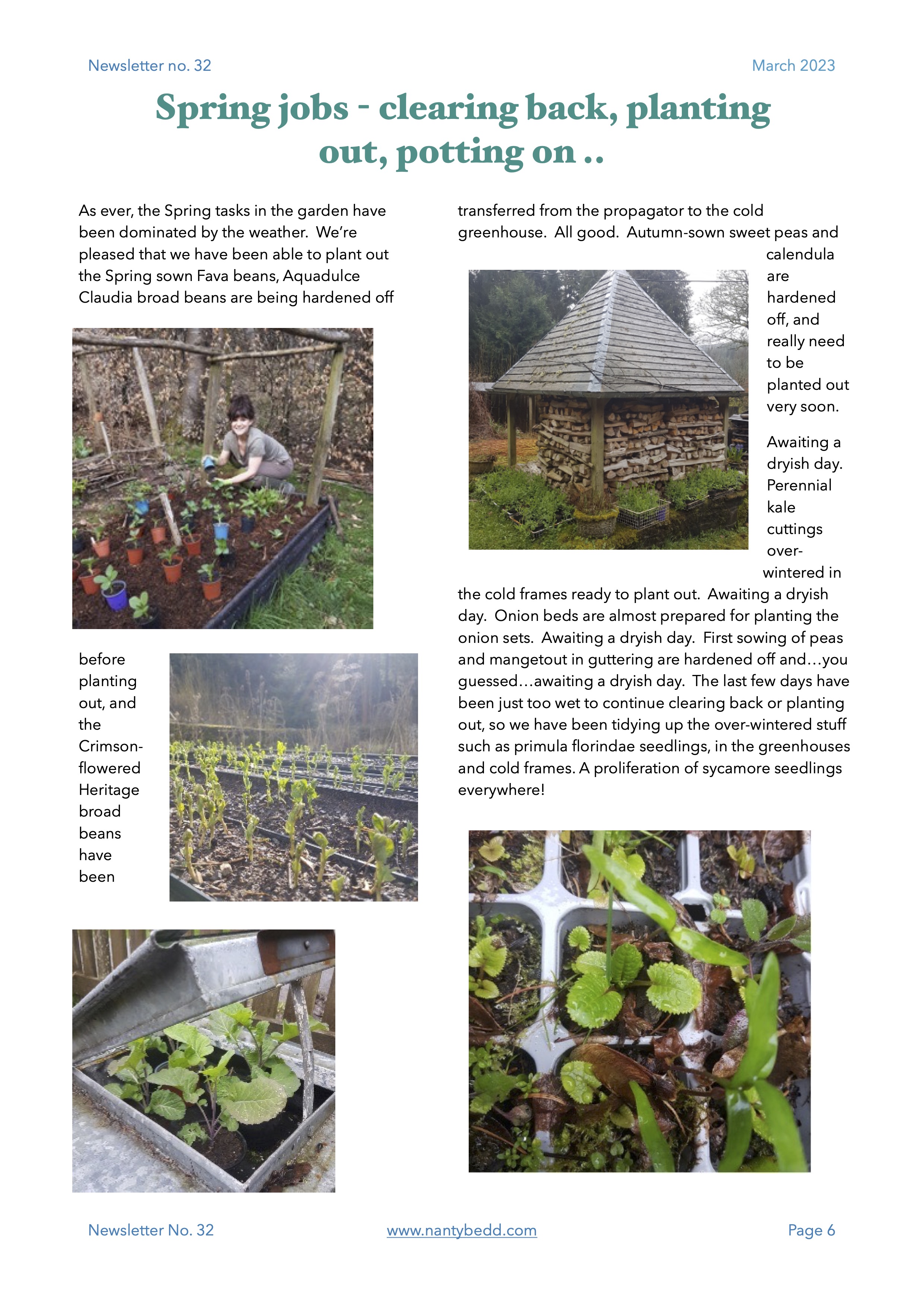 March 2023 Newsletter | Nant y Bedd